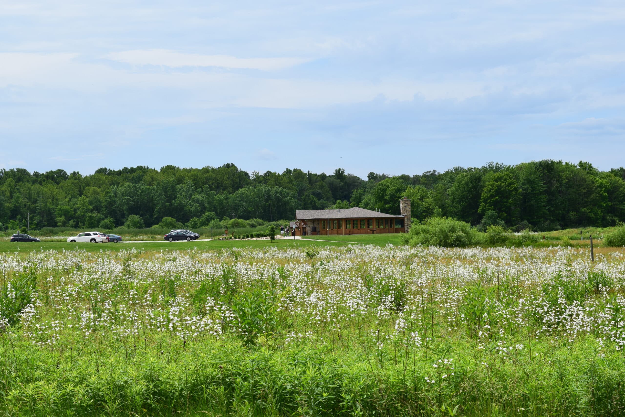 Frohring Meadows, Bainbridge | Geauga Park District